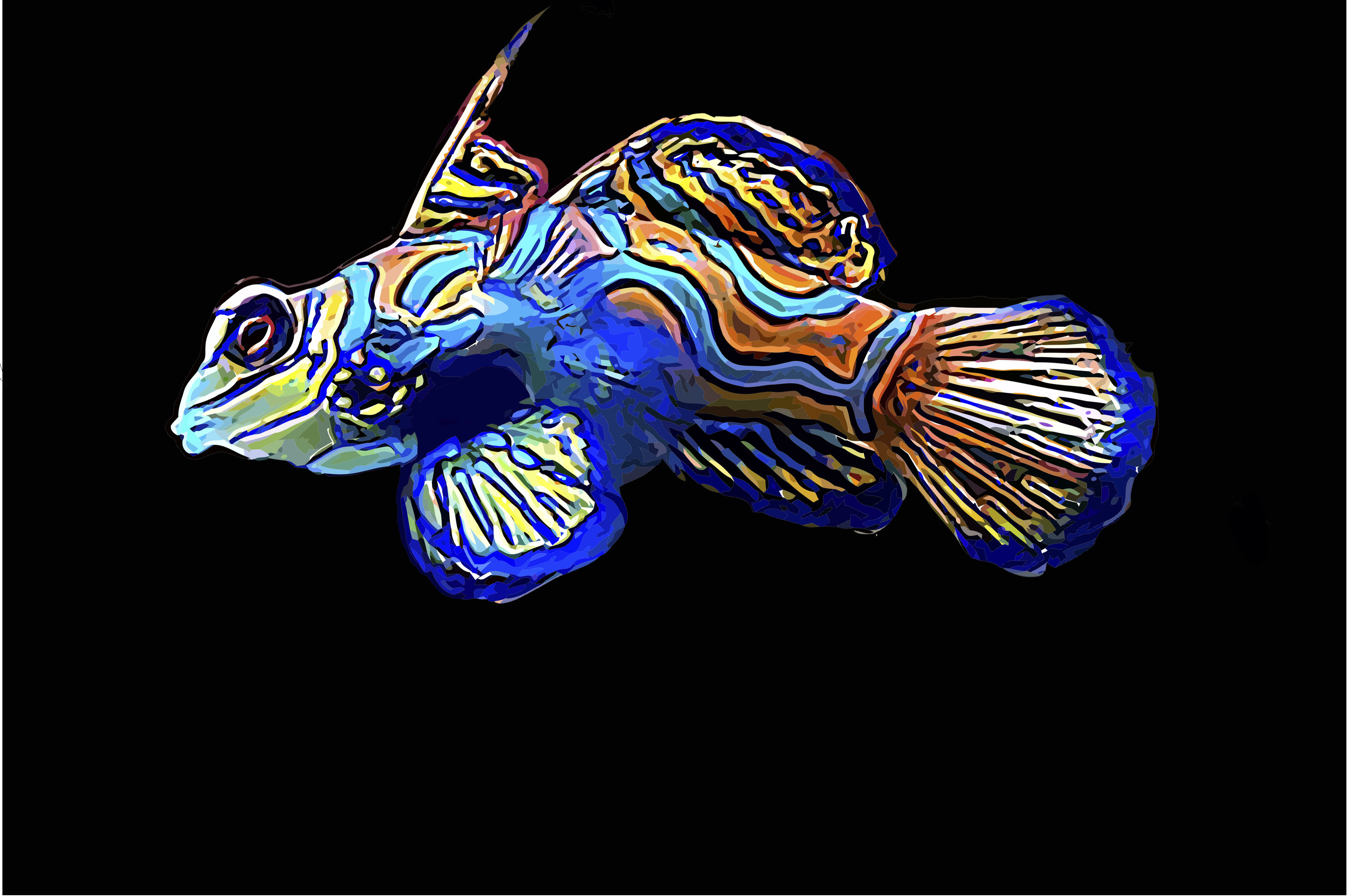 The Miami Reef Squad