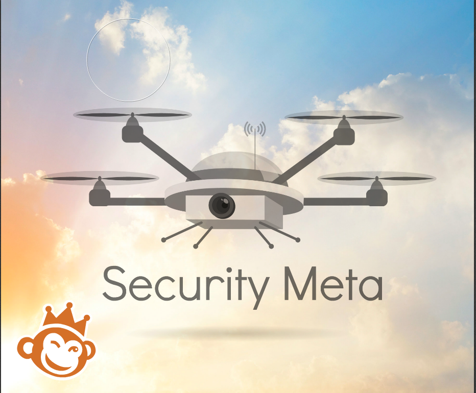 Security Meta | Spring