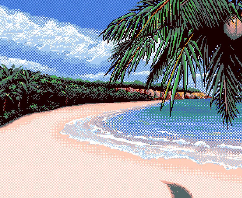 Amnesia Collective | Spring